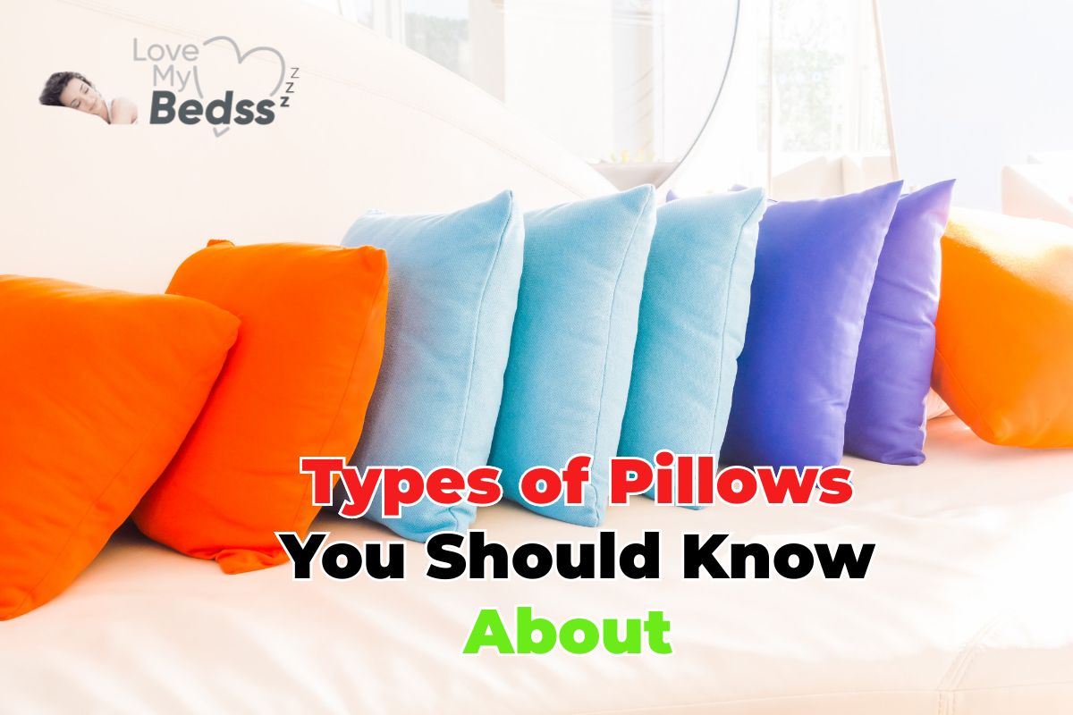 Types of Pillows You Should Know About – Love My Bedss